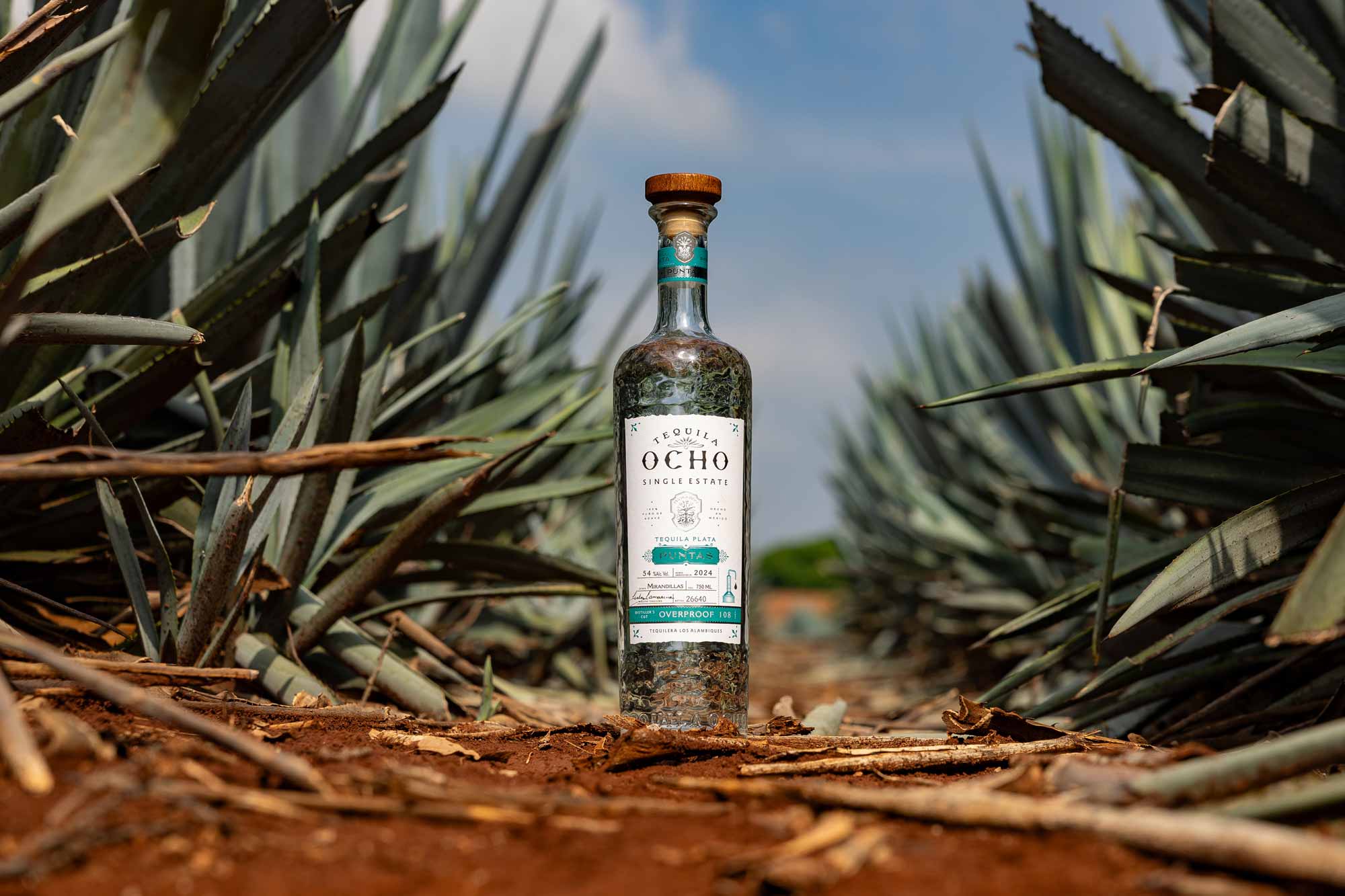 WHAT’S NEW! Tequila OCHO Plata Puntas 2024 – Barleycorn Drinks